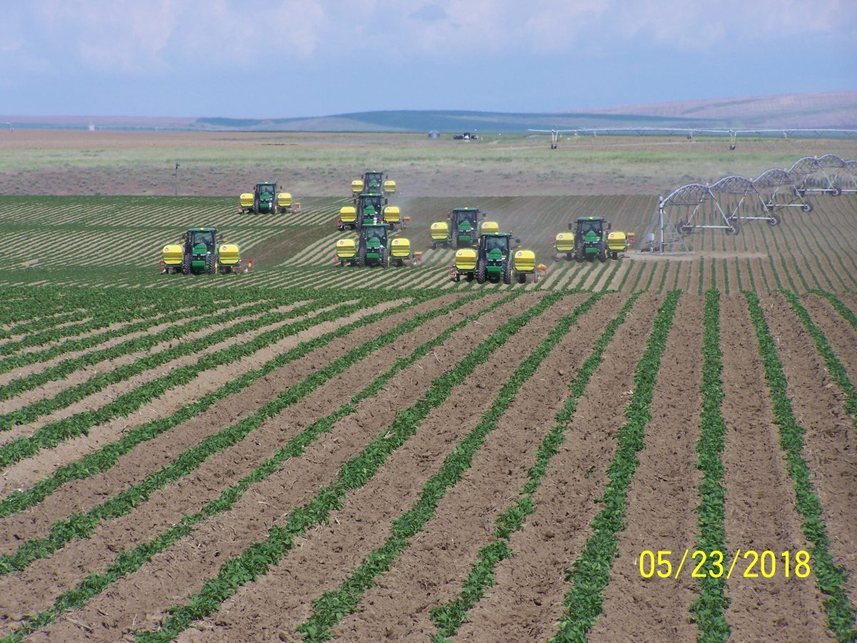 Dammer Diker® – AG Engineering & Development Company